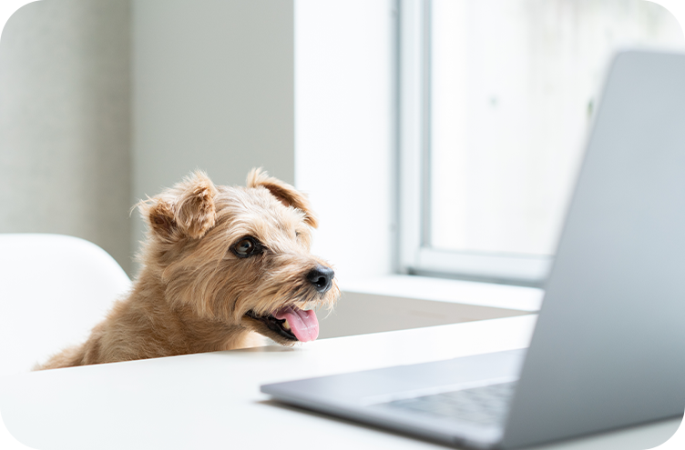 Contact Us - Guardian’s Choice Pet